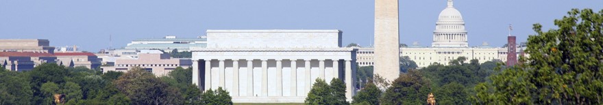 Washington, DC Skyline: Prints and Wall Murals of the Nation's Capital ...